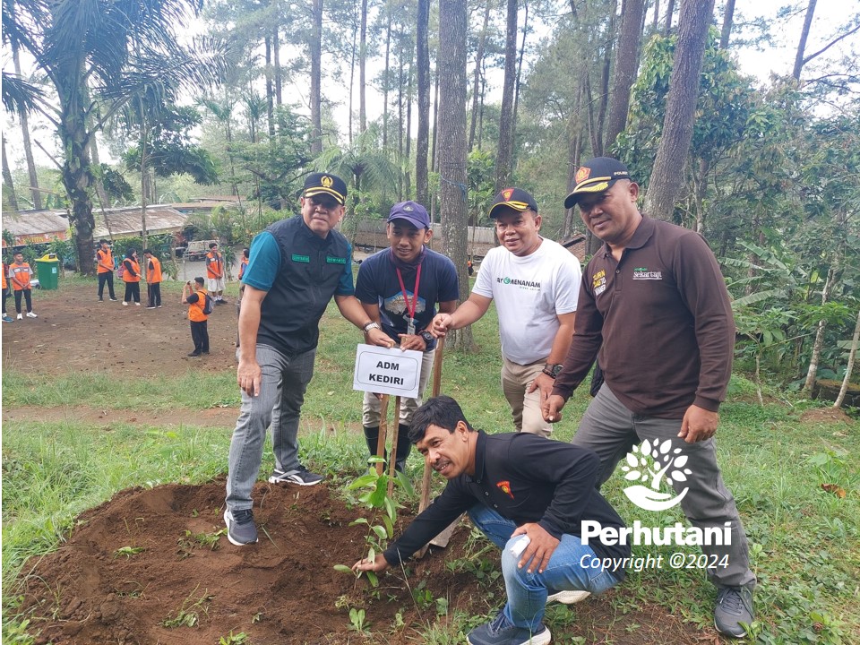 Perhutani Perhutani Kediri Bersama Yayasan Hijau Daun Mandiri Tanam Pohon Di Hutan Area Wisata ...