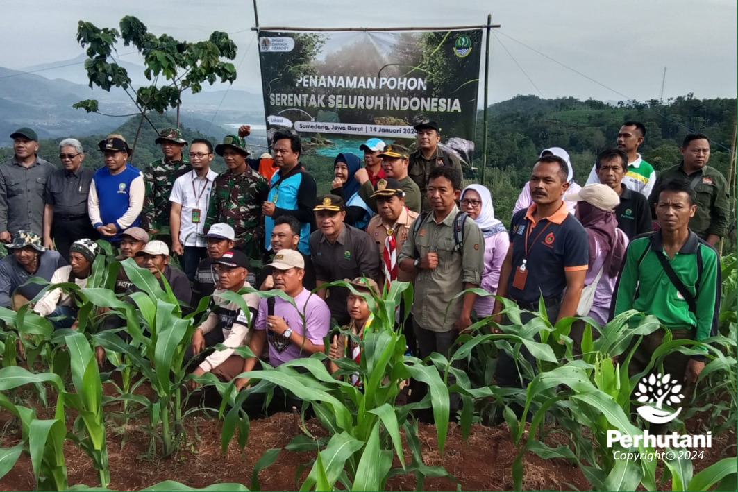 Perhutani Perhutani Bersama Stakeholder Lakukan Penanaman Pohon Serentak 2024 di Sumedang