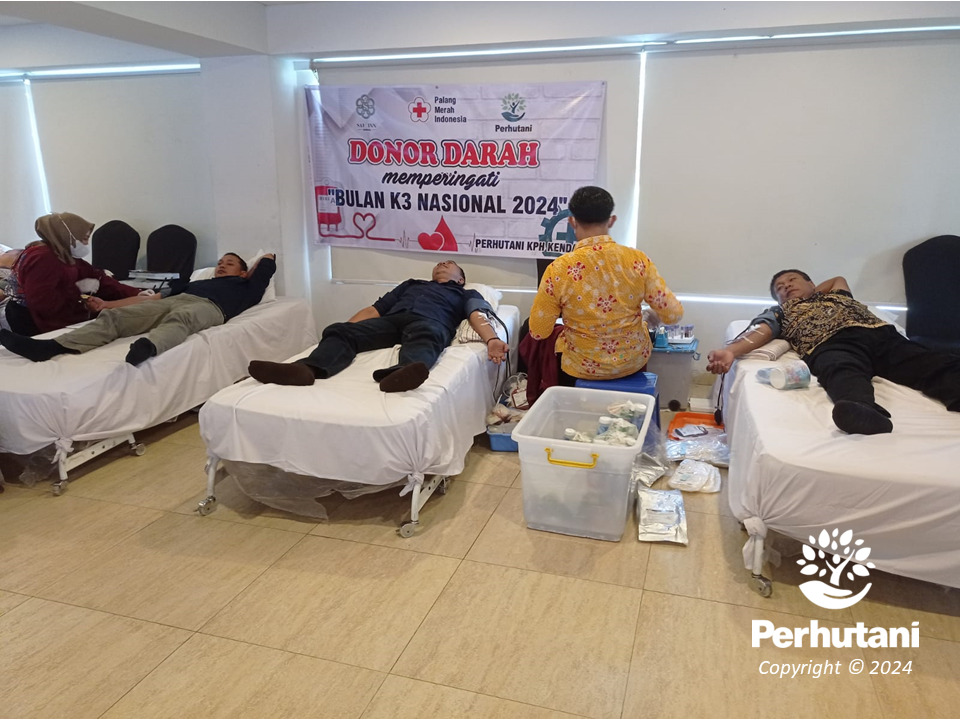 Perhutani Perhutani Adakan Donor Darah Bersama Stakeholder dalam Rangka Bulan K3 Nasional 2024 ...