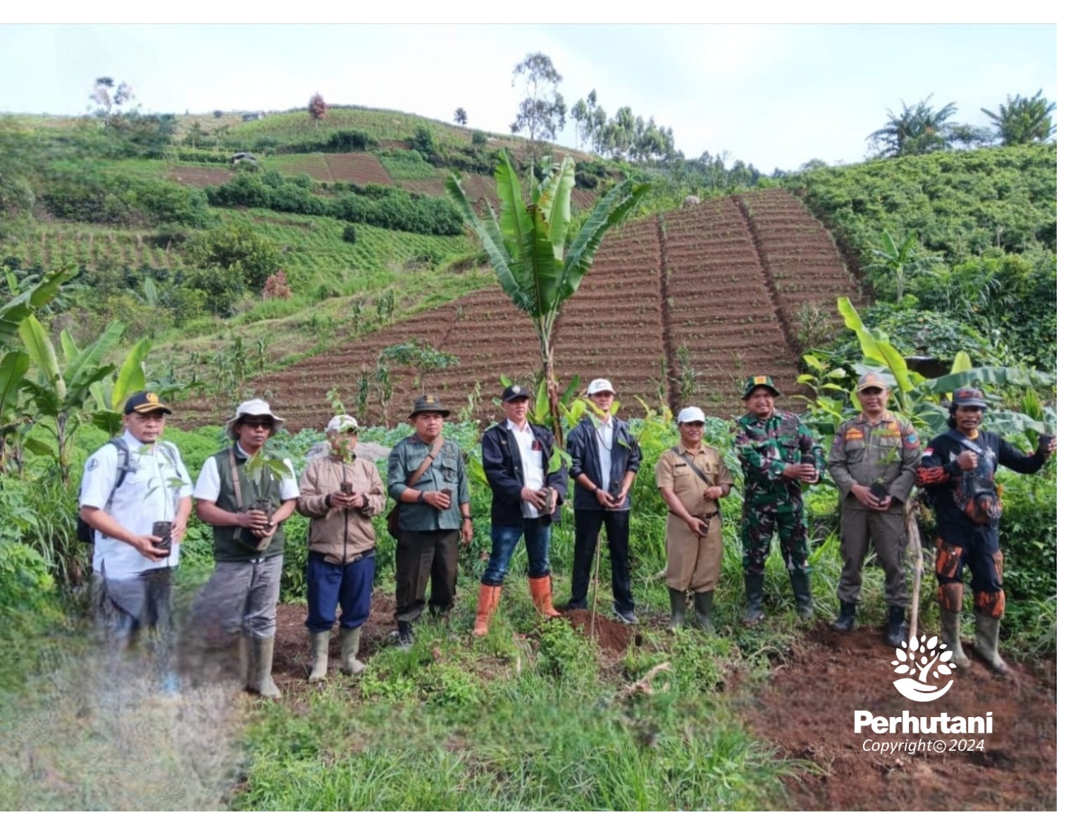 Perhutani Perhutani Bersama Stakeholder Lakukan Penanaman 1500 Pohon di ... Perhutani Perhutani Bersama Stakeholder Lakukan Penanaman 1500 Pohon di ...