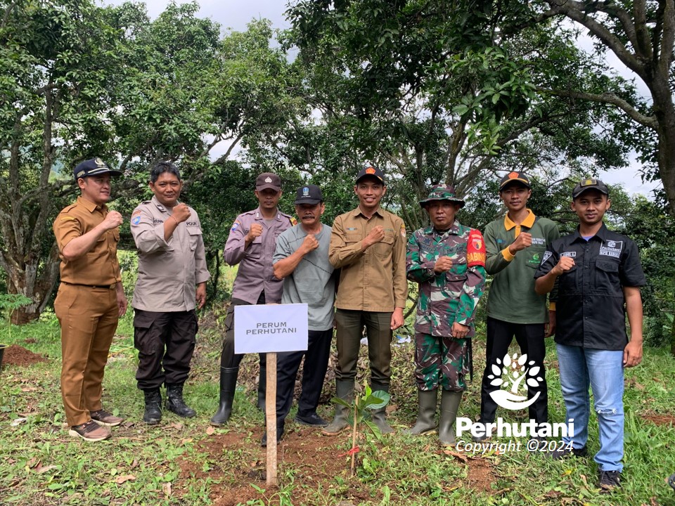 Perhutani Perhutani Bersama Stakeholder di Kecamatan Ngetos Kediri Tanam 150 Pohon MPTS