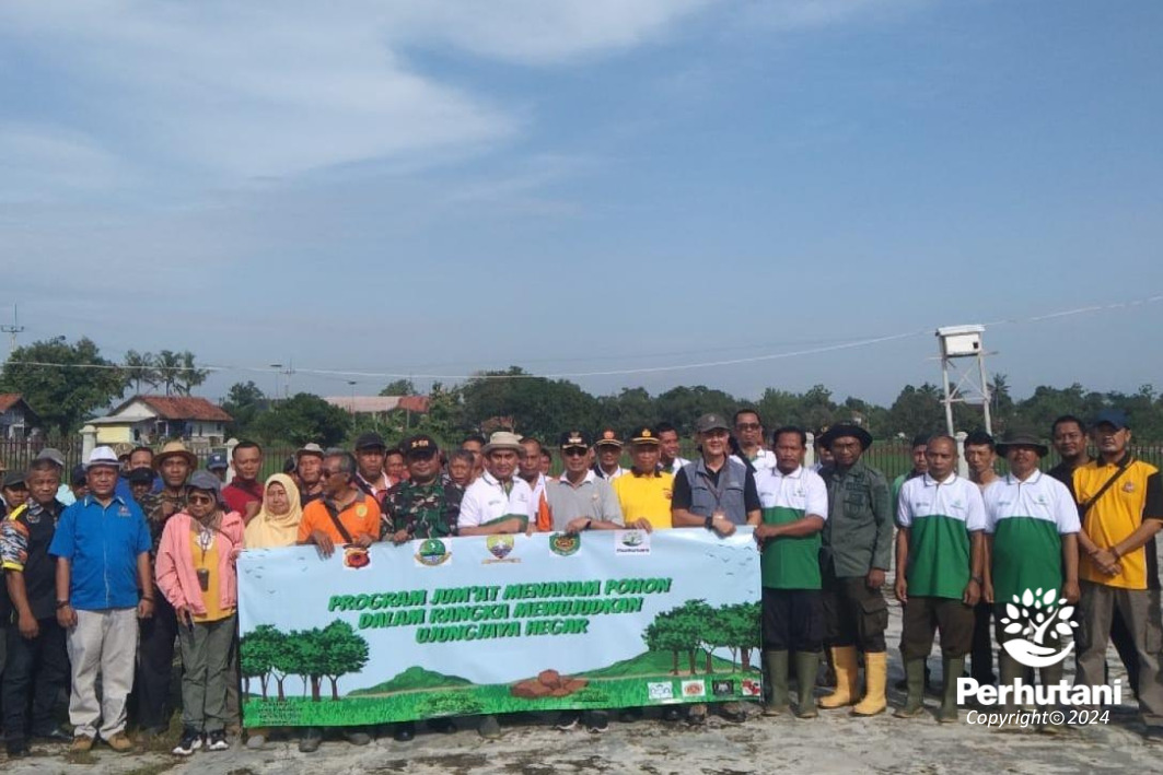 Perhutani Perhutani Sumedang Bersama Forkopimcam Gelar Penanaman 2000 Pohon di Ujungjaya