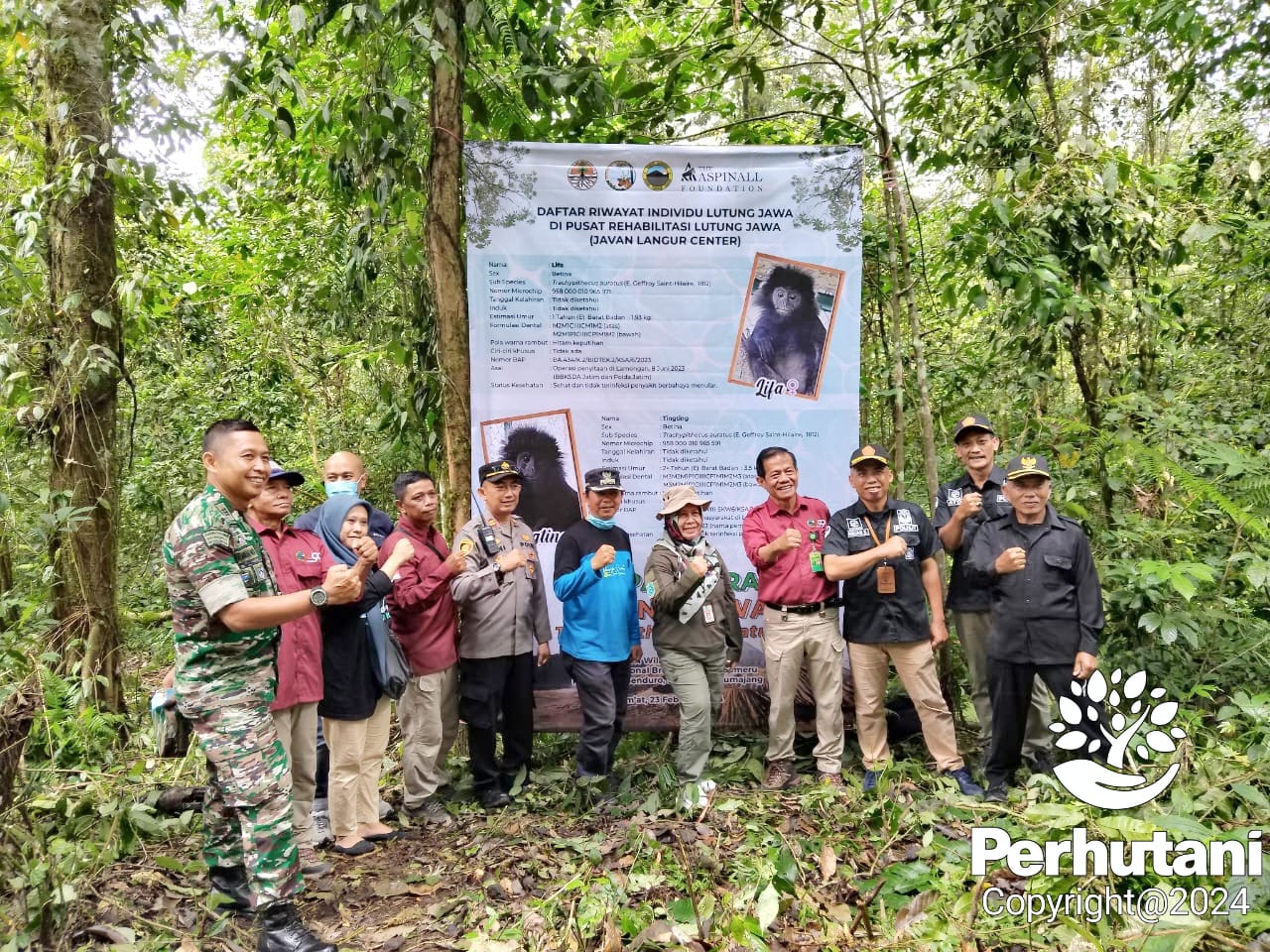 Perhutani Sebagai Upaya Lestarikan Populasi Satwa, Perhutani bersama Stakeholder Lepasliarkan ...