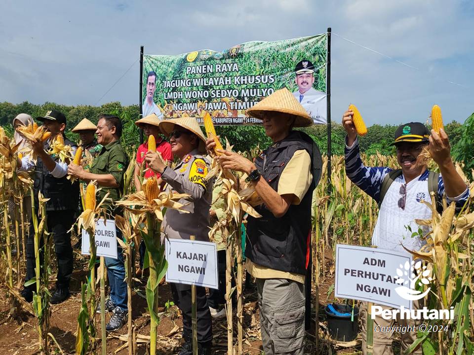Perhutani Perhutani Dukung Program Swasembada Pangan di Kawasan Hutan Ngawi
