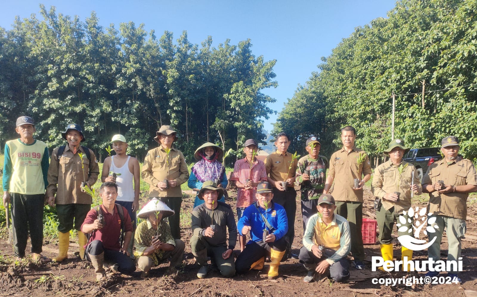 Perhutani Peringati Hari Bakti Rimbawan, Perhutani Bersama LMDH Tanam Bersama di Jalur Tepi ...