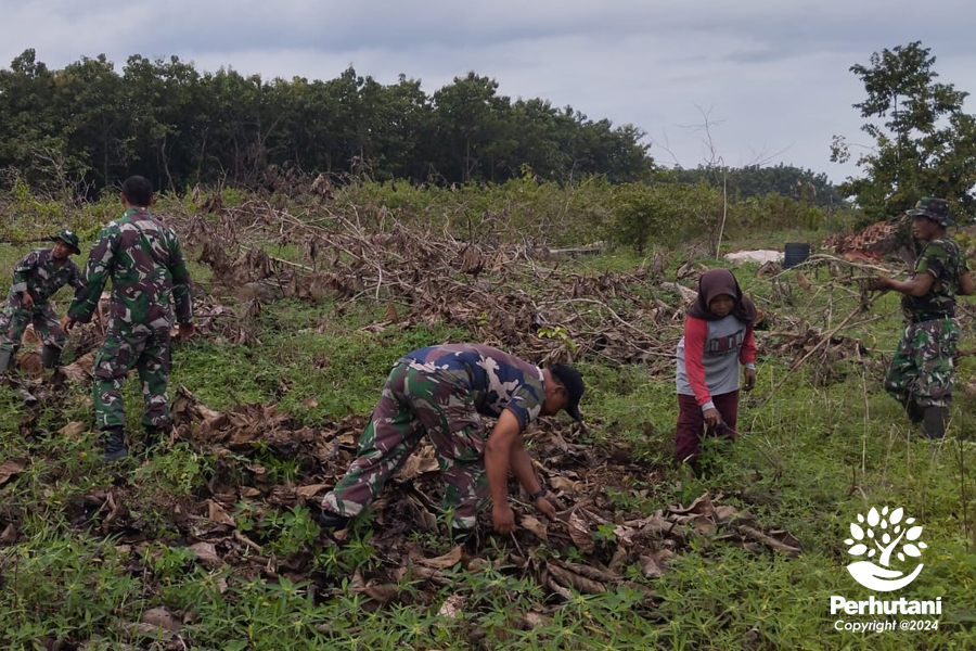 Perhutani Perhutani Mojokerto bersinergi dengan TNI Dukung Program Ketahanan Pangan Nasional