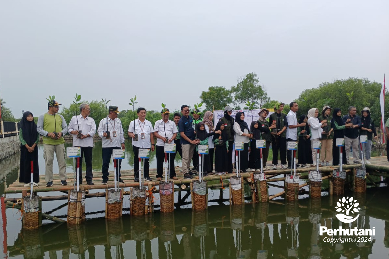 Perhutani Perhutani Banten Bersama Stakeholder Tanam Serentak 25.000 Mangrove di Seluruh Indonesia
