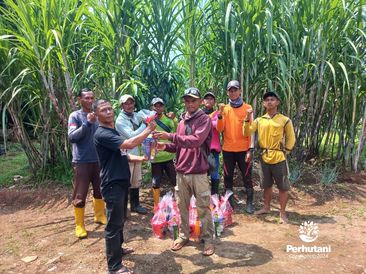 Perhutani Perhutani Bagikan Paket Sembako Kepada Pekerja Agro Tebu ...