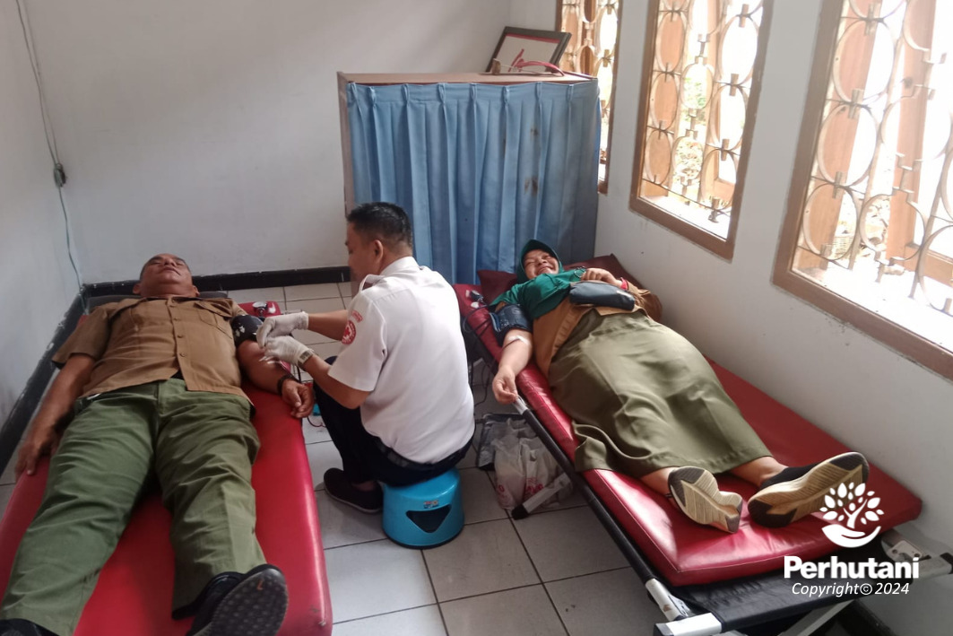 Perhutani Wujud Kepedulian Sosial Perhutani Gelar Donor Darah Bekerjasama PMI Kabupaten Kuningan