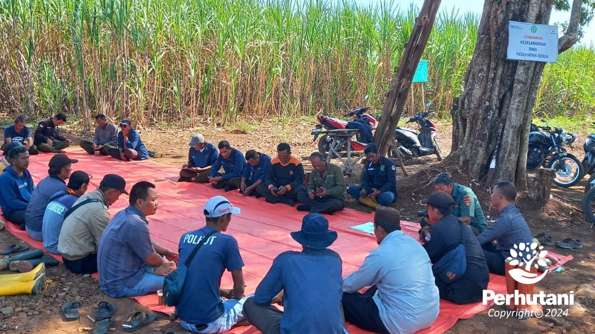 Perhutani Perhutani Gelar Sosialisasi Antisipasi Karhutla Pada Tanaman ...