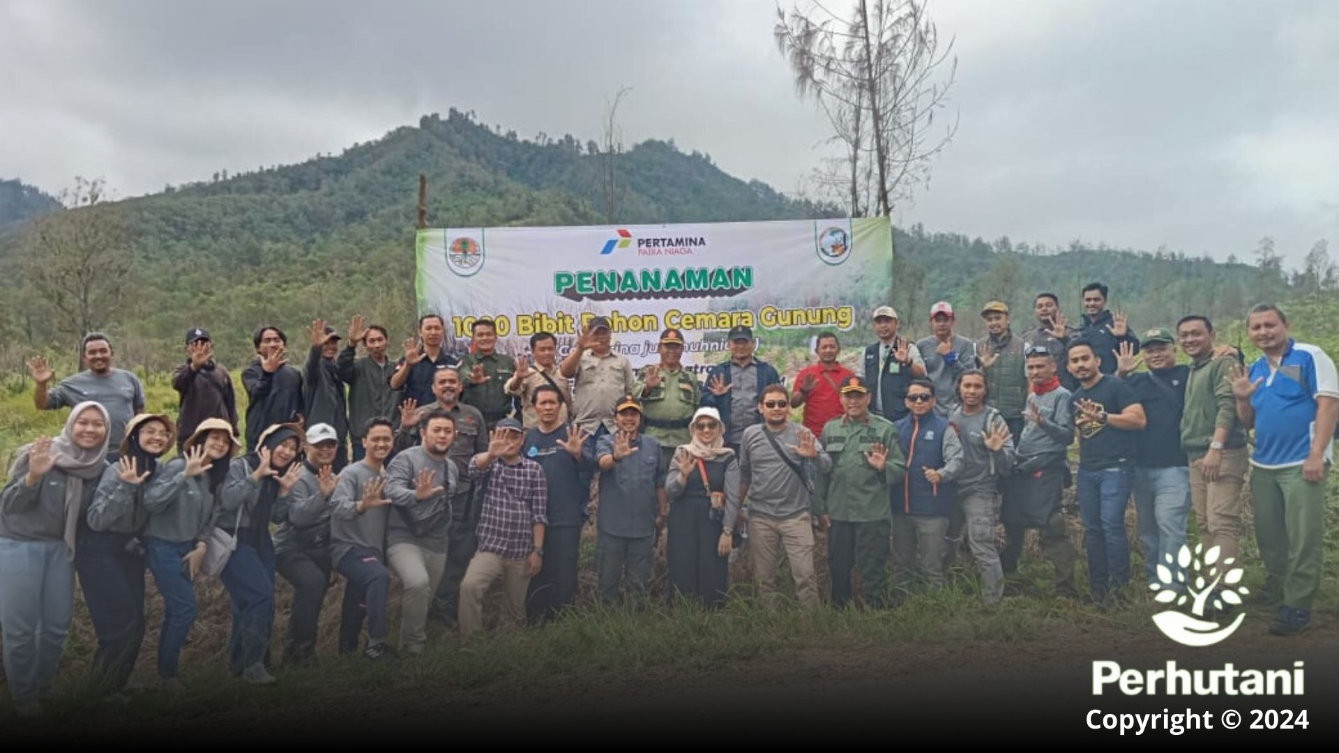 Perhutani Perum Perhutani KPH Banyuwangi Barat Ikuti Penanaman Pohon Cemara Gunung bersama ...