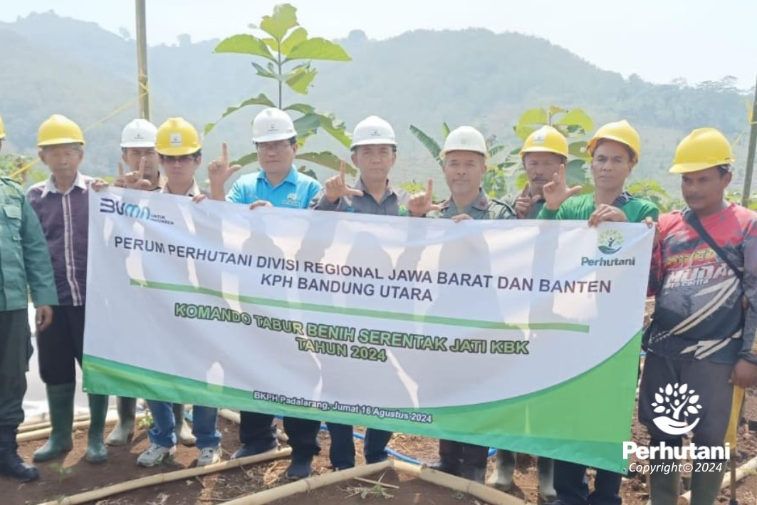 Perhutani Perhutani Bandung Utara Laksanakan Komando Tabur Benih Serentak Jati Asal KBK Di Bandung