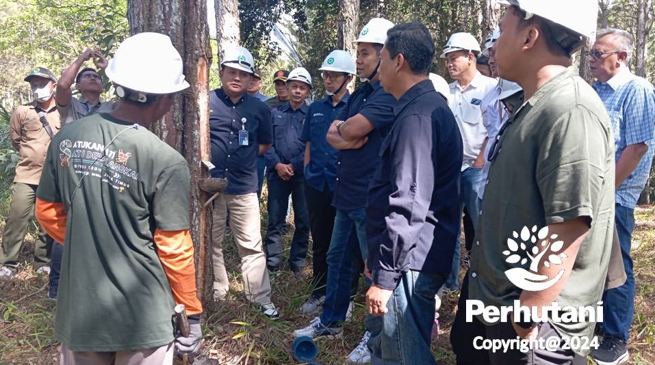 Perhutani Perhutani KPH Lawu Ds Terima Kunjungan Kerja Kementerian BUMN