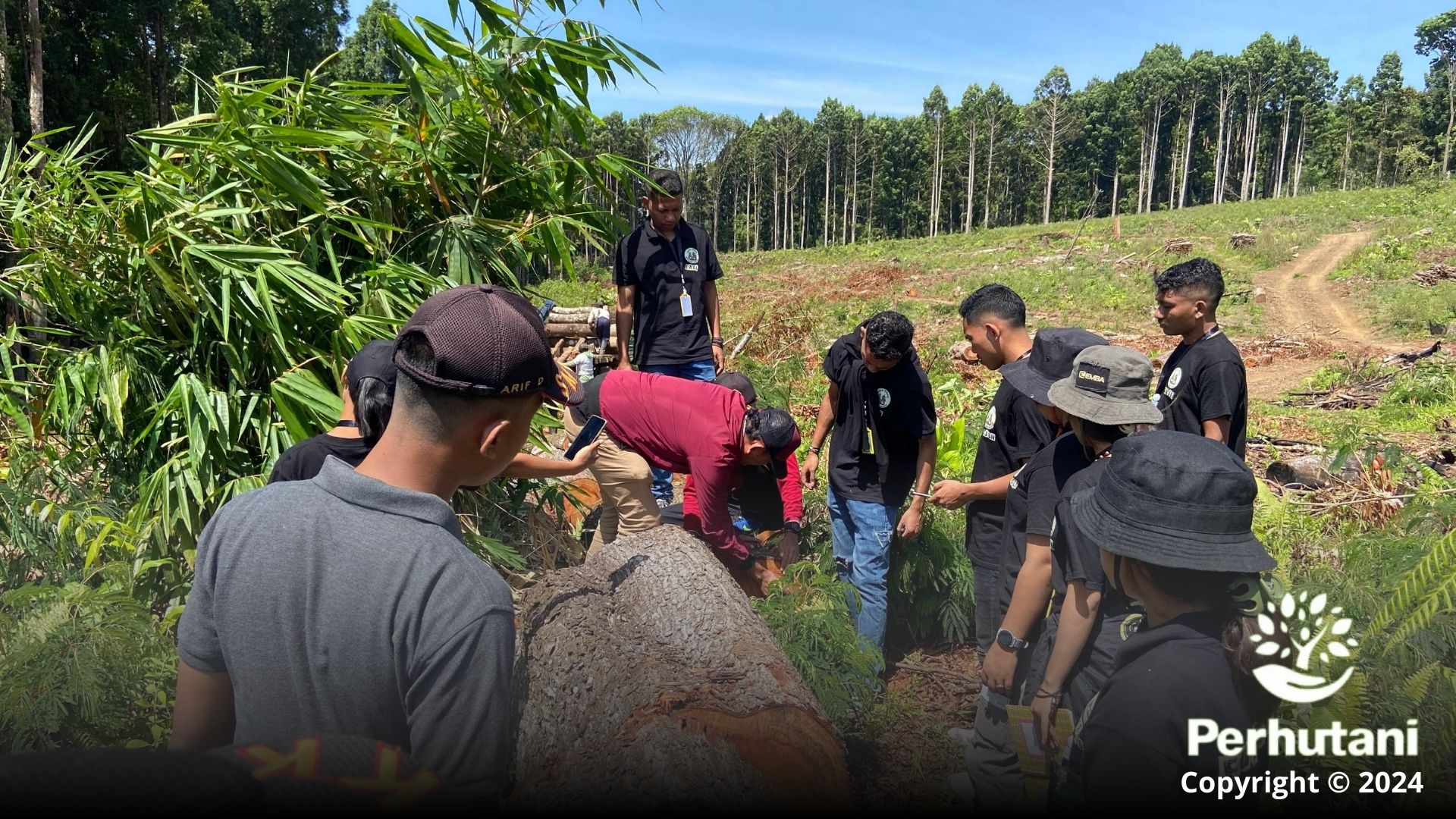 Perhutani Perhutani KPH Banyuwangi Barat Memberikan Materi Lapang Tentang Teknik Tebangan Kepada ...