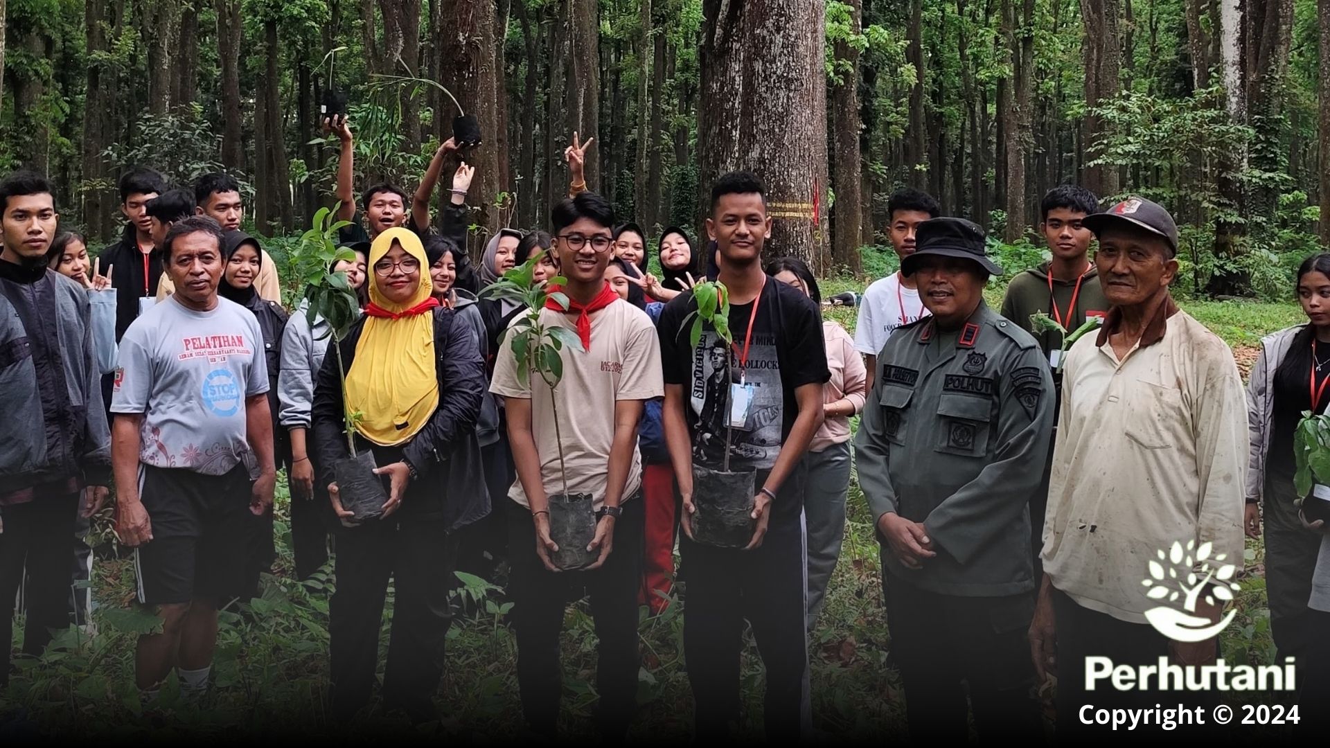 Perhutani Perhutani Lakukan Penanaman Pohon di Hutan Bersama Palaga