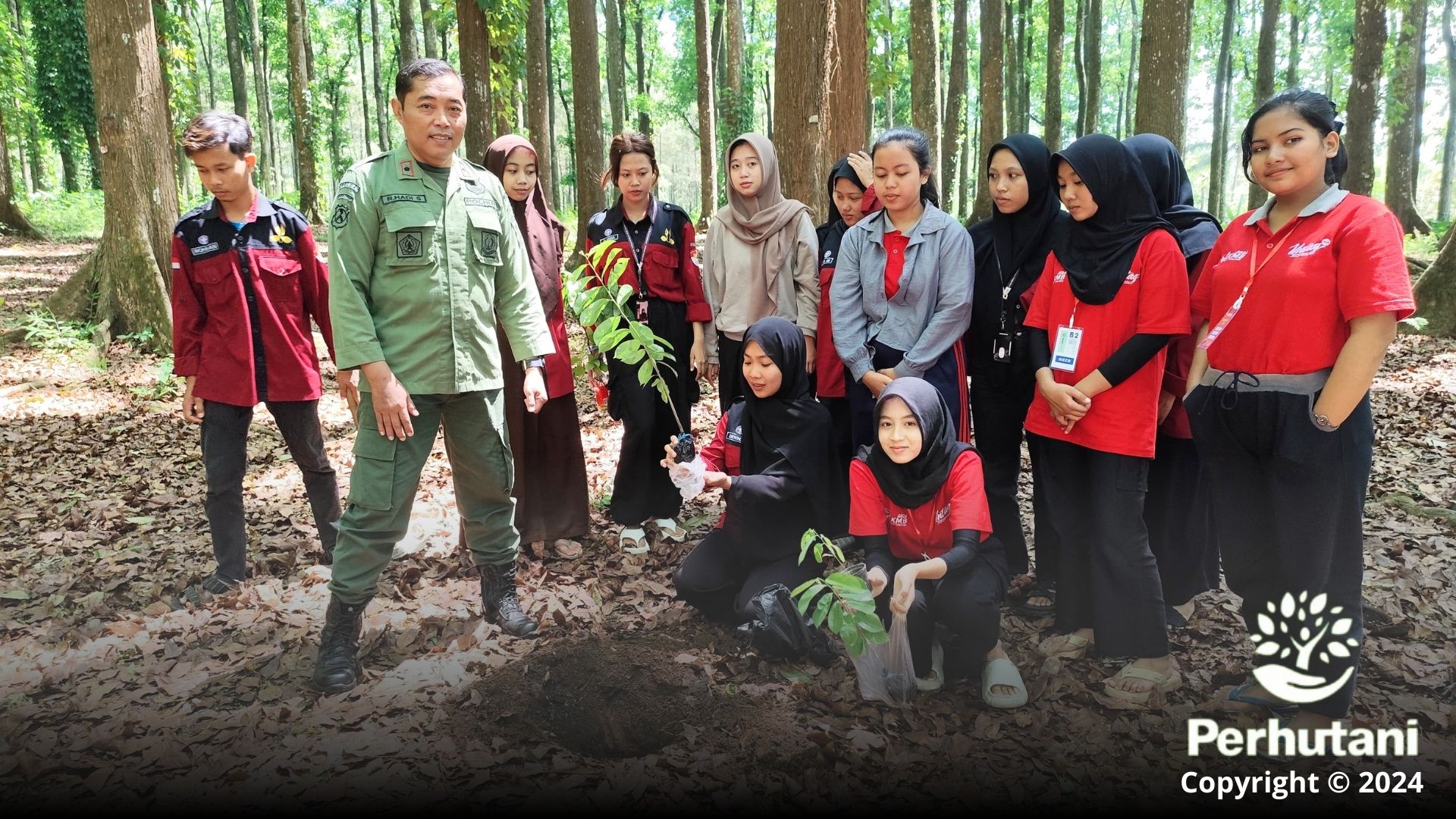 Perhutani Perhutani KPH Banyuwangi Barat Bersama Mahasiswa Untag 1945 dan LMDH Rimba Sejahtera ...
