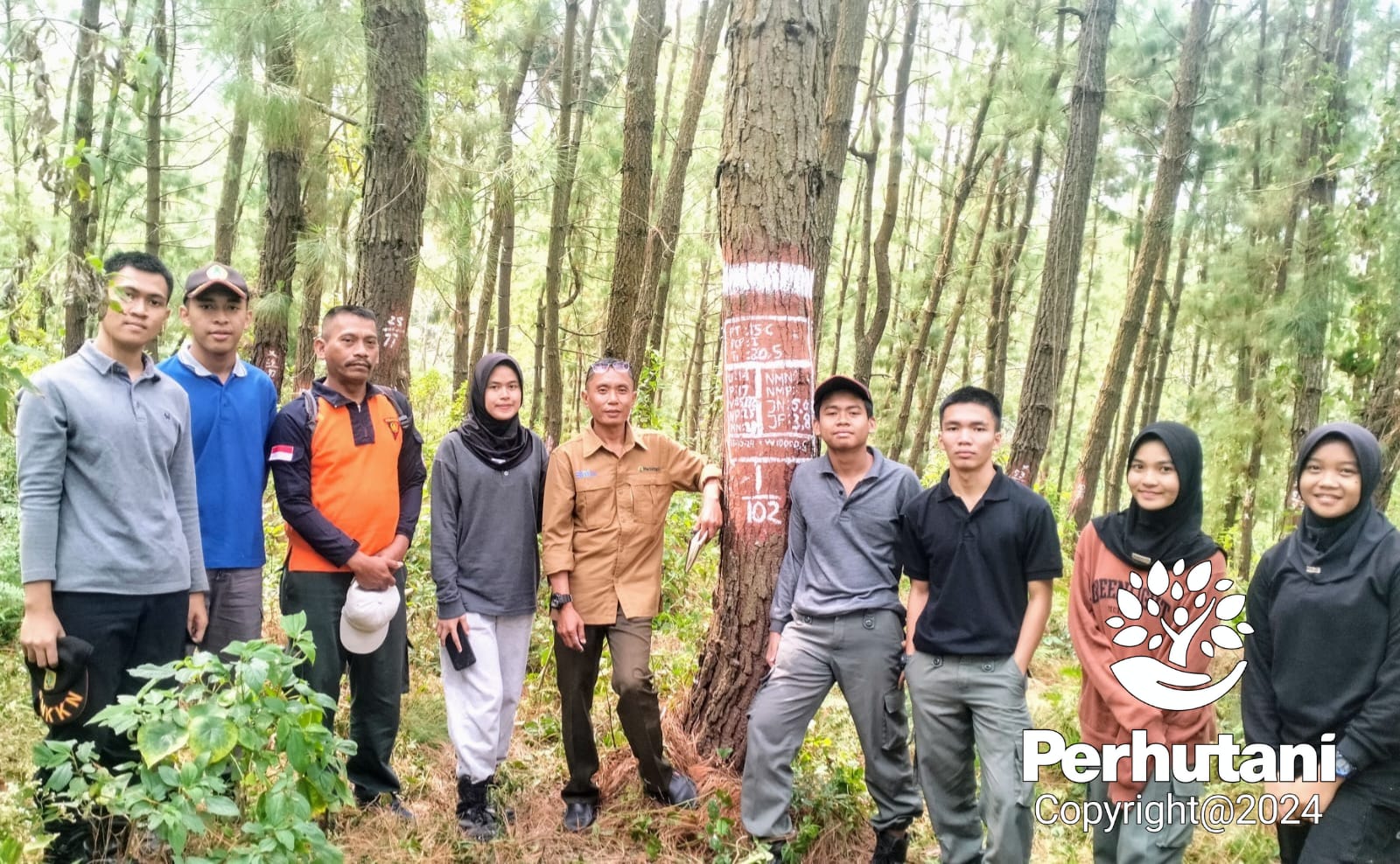Perhutani Perhutani Probolinggo Bimbing Siswa SMK Kehutanan Negeri Samarinda Praktik Pembuatan ...