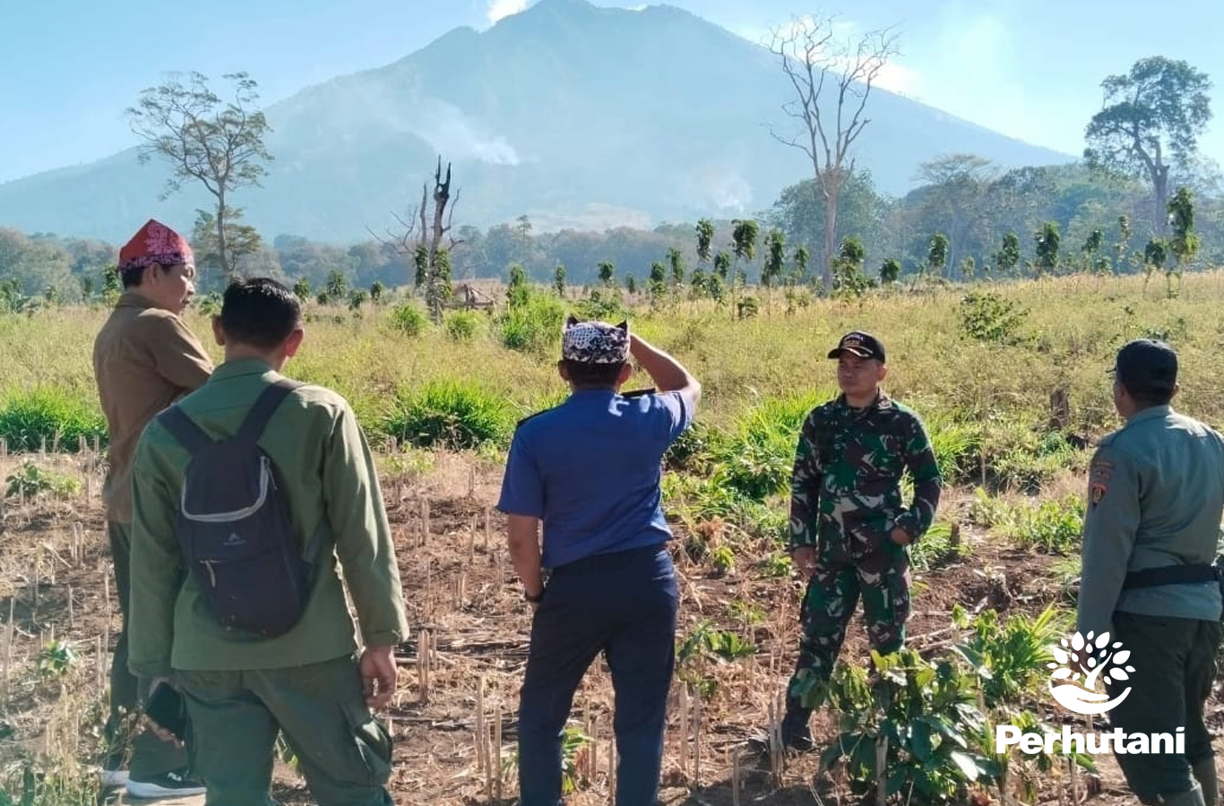 Perhutani Perhutani KPH Banyuwangi Utara Sinergi Perkuat Keamanan Hutan dan Cegah Karhutla ...