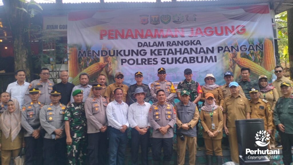 Perhutani Perhutani Bersama Stakeholder Sukseskan Program Ketahanan Pangan di Sukabumi