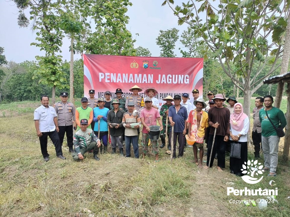 Perhutani Perhutani KPH Mojokerto dan Forkopimcam Mantup Dukung Program Ketahanan Pangan ...