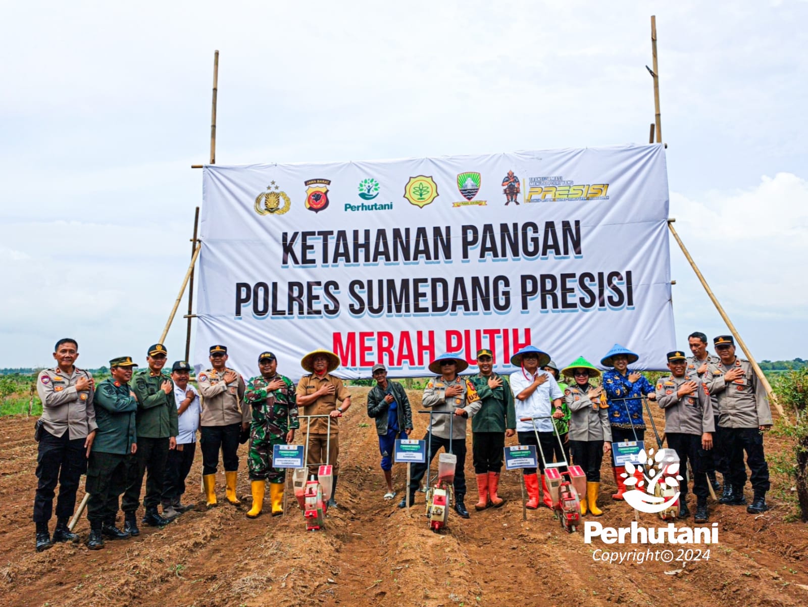 Perhutani Perhutani Sumedang Bersama Stakeholder Tanam Jagung Sukseskan Program Ketahanan Pangan