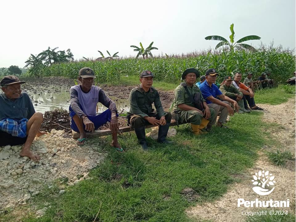 Perhutani Perhutani KPH Padangan Gelar Sosialisasi Tanaman Balsa Tahun 2024 di BKPH Kaliaren Timur