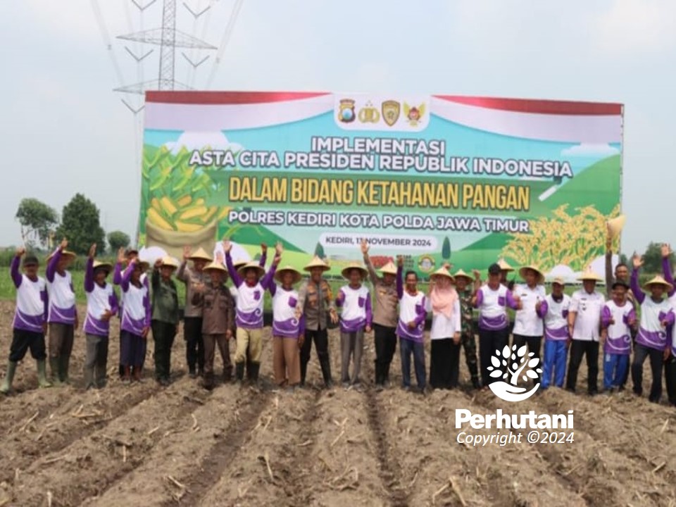 Perhutani Perhutani KPH Kediri Bersama Polres Kediri Kota Laksanakan Penanaman Jagung untuk ...