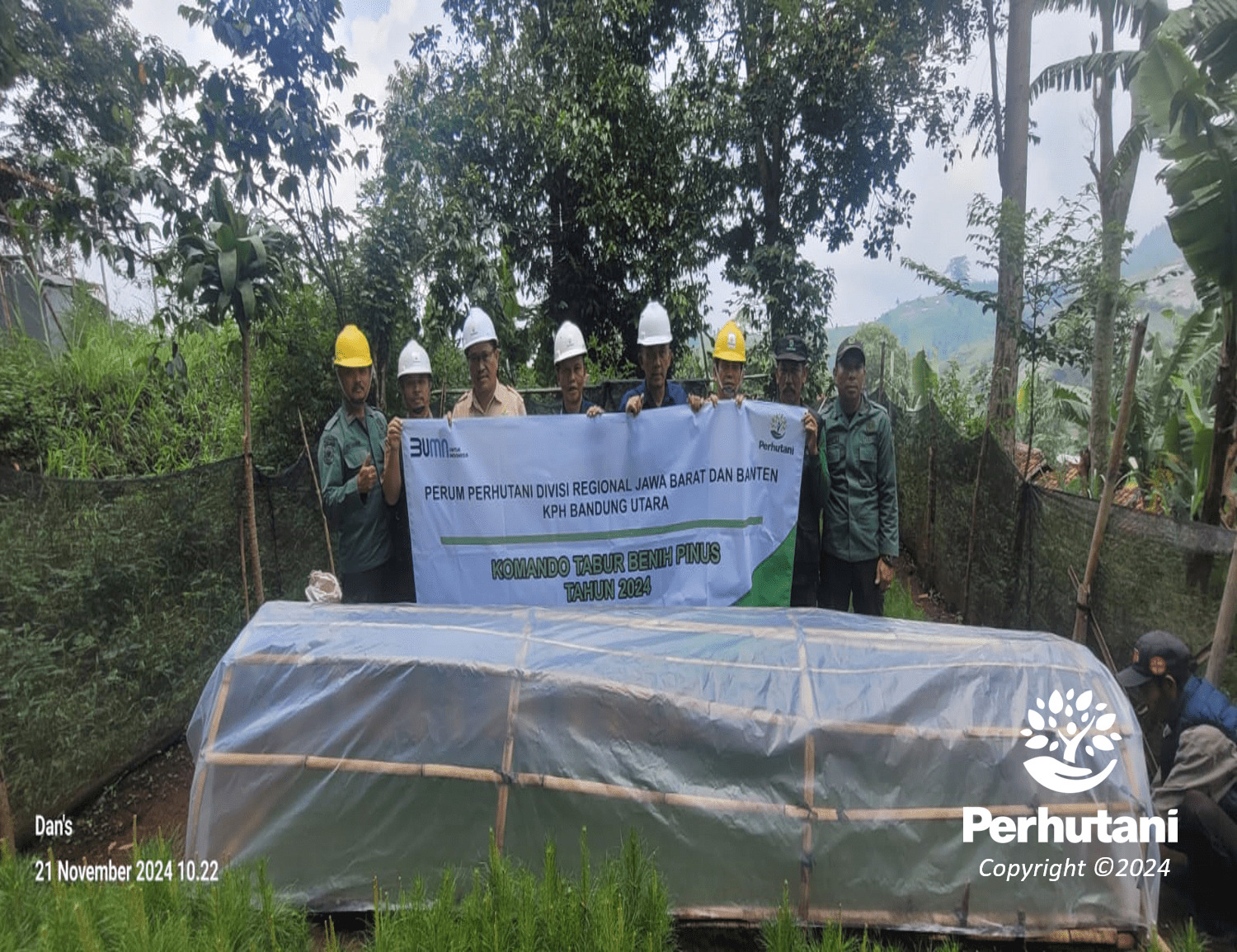 Perhutani Perhutani Bandung Utara Laksanakan Tabur Benih Pinus Di Burangrang Selatan