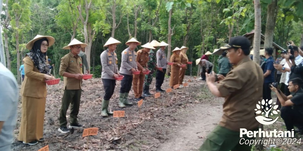 Perhutani Perhutani KPH Jombang Bersinergi dengan Polri dan Dinas Pertanian Sukseskan Swasembada ...