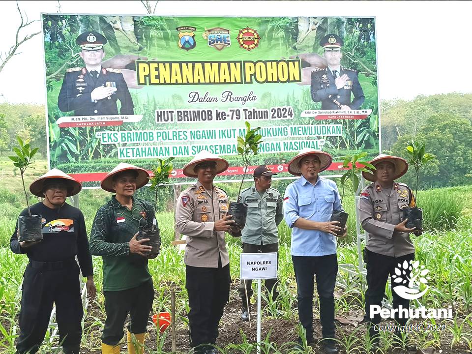 Perhutani Perhutani KPH Ngawi bersama Stakeholder Laksanakan Penanaman Bersama Dukung Ketahanan ...