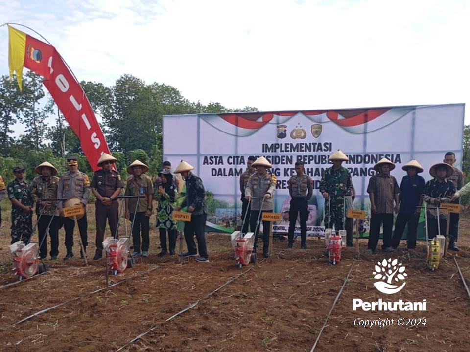Perhutani Perhutani Dukung Implementasi Ketahanan Pangan Bersama TNI/POLRI dan Stakeholder di ...