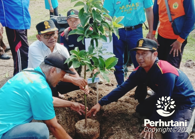 Perhutani Sinergi Bersama Stakeholder Perhutani KPH Jombang Tanam 3000 Bibit Pohon untuk ...