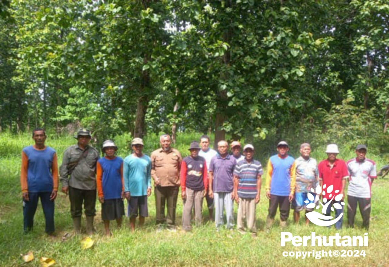 Perhutani Perhutani Lakukan Komsos Pada Masyarakat di Sekitar Hutan Balapulang