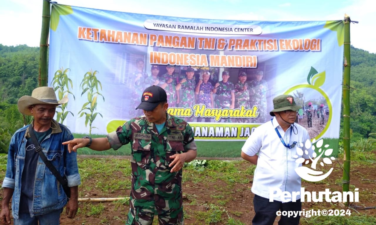 Perhutani Perhutani Sinergi Ketahanan Pangan Bersama Stakeholder di Balapulang