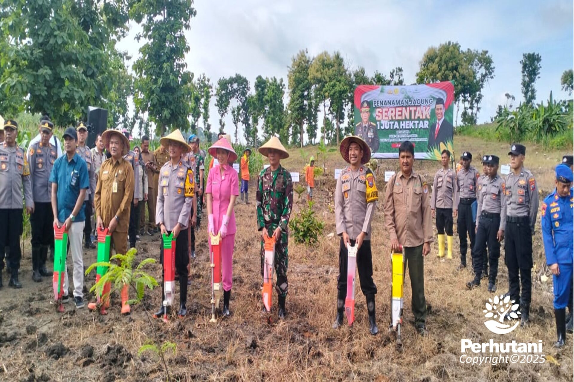 Perhutani Perhutani Tuban Dukung Program Ketahanan Pangan Nasional Hadiri Penanaman Jagung ...