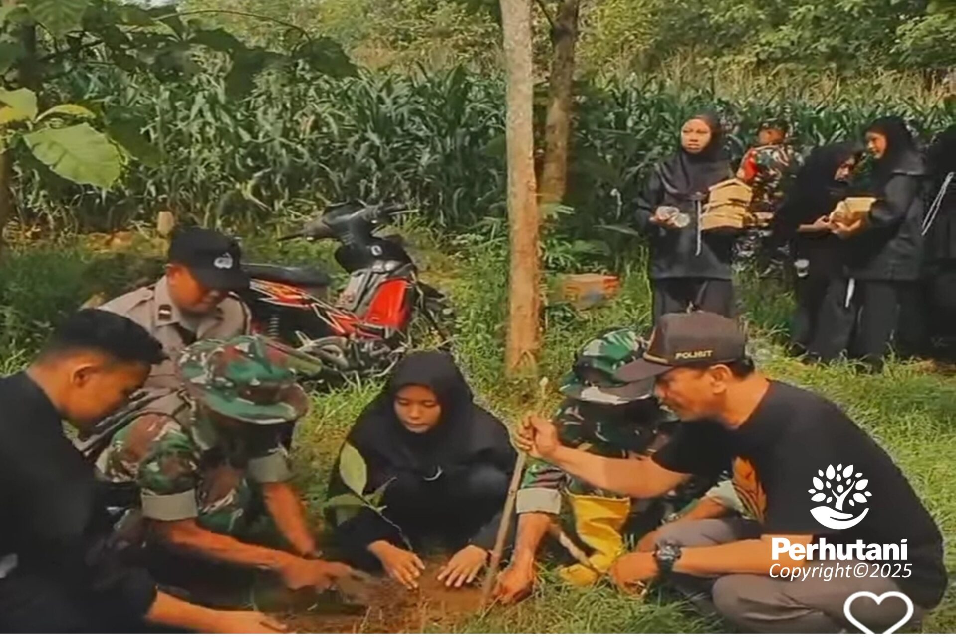 Perhutani Perhutani Tuban Bersama Stakeholder Gelar Penanaman Pohon untuk Kelestarian Hutan