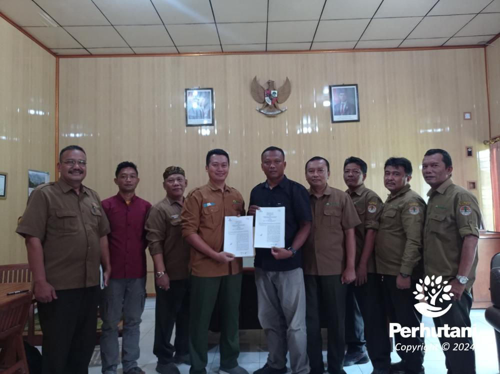 Perhutani Perhutani Tandatangani Kerjasama Budidaya Tanaman Tebu dengan CV. Jati Rimba