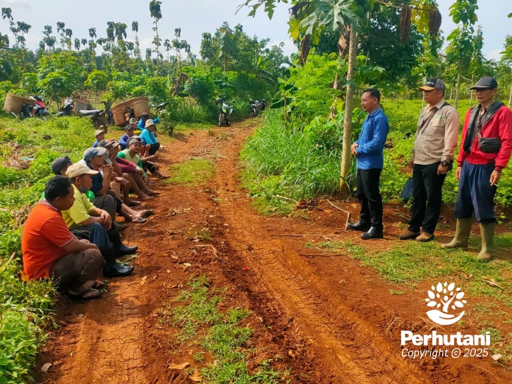 Perhutani Konsolidasi Perhutani, LMDH dan Petani Penggarap di Kendal