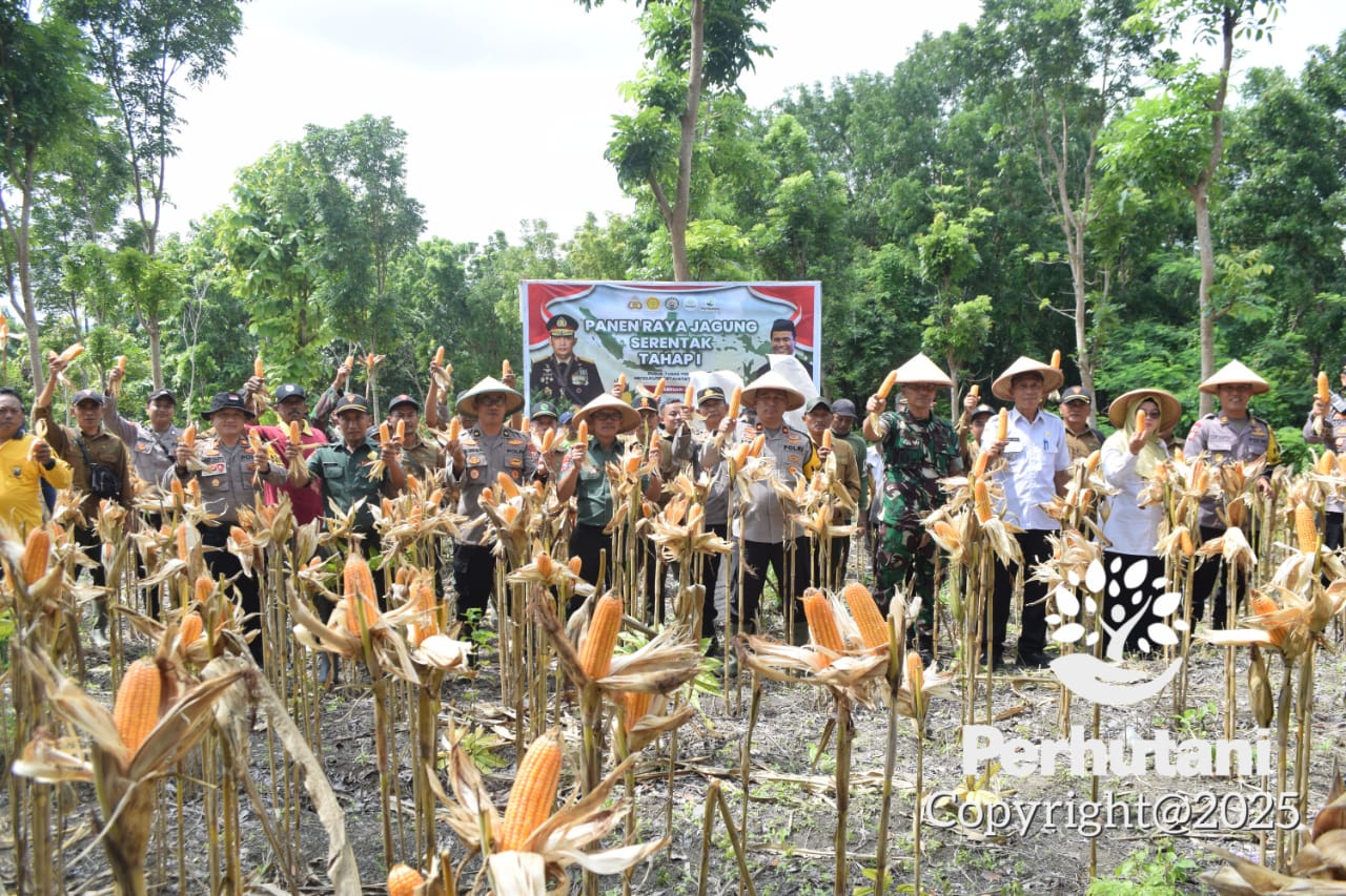 Perhutani Perhutani Jombang Bersinergi dengan Polri dan Dinas Pertanian Sukseskan Ketahanan Pangan