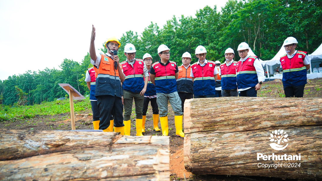Perhutani Dorong Keberlanjutan dan Inovasi Industri Kehutanan, Wamen ...