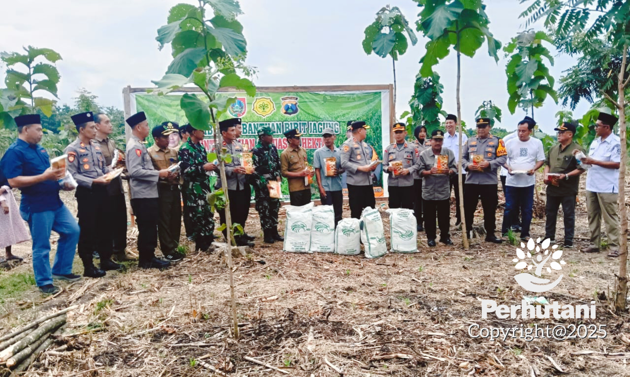 Perhutani Sinergi Polri Bersama Perhutani Jombang dengan Salurkan Bibit Jagung Ke LMDH Di Jombang