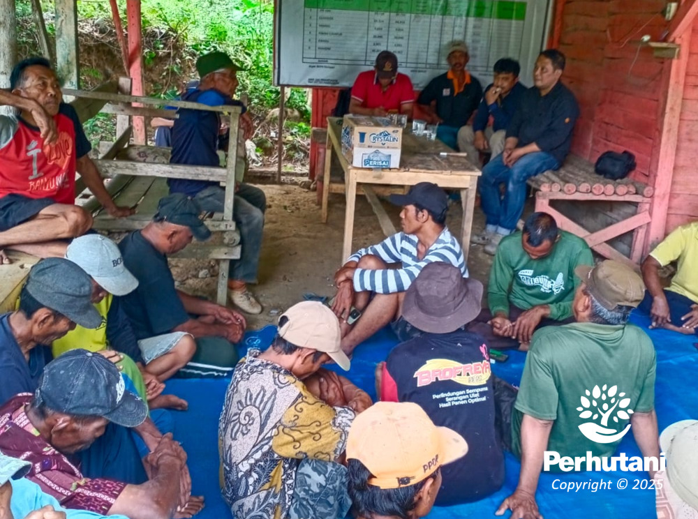 Perhutani Perhutani Gencar Lakukan Sosialisasi dengan Masyarakat Sekitar Hutan Guna Dukung ...