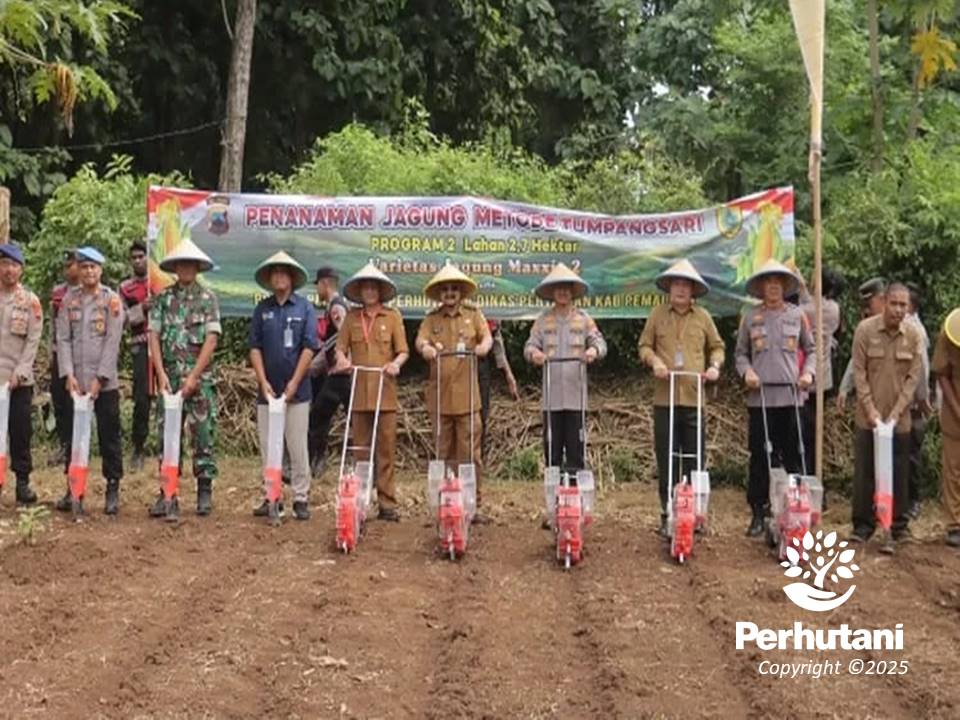 Perhutani Perhutani Bersama Polres Pemalang Dukung Swasembada Pangan Nasional
