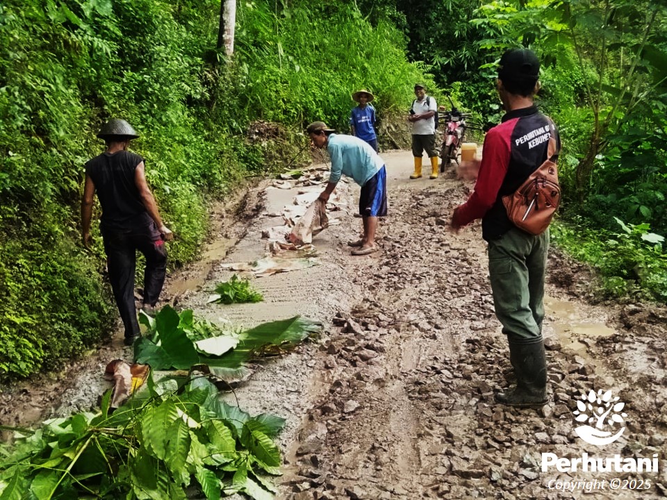 Perhutani Karyawan Perhutani Bantu Semen Untuk Perbaikan Jalan Desa di ...