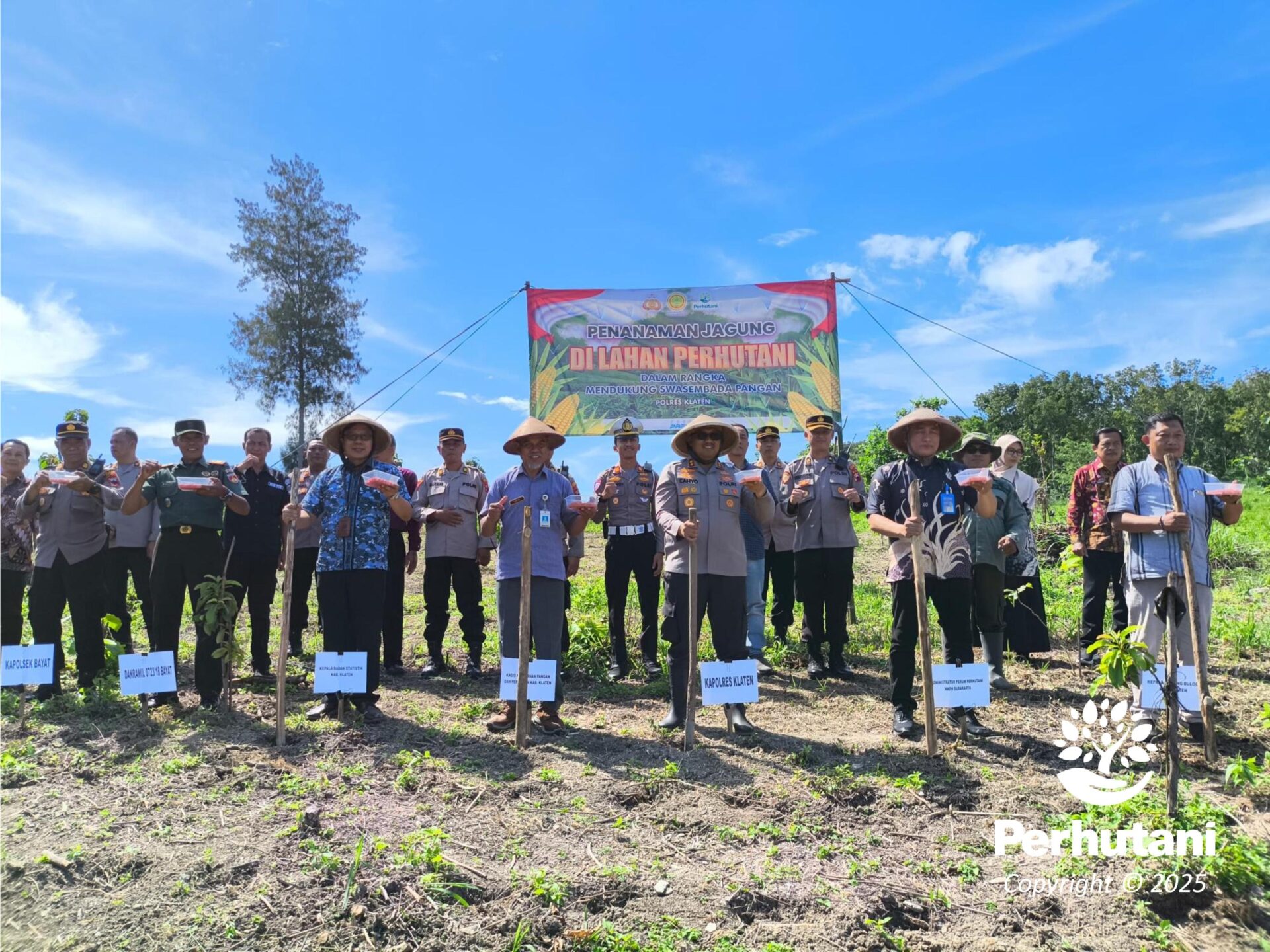 Perhutani Penanaman Jagung di Lahan Perhutani Dukung Swasembada Pangan 2025: Sinergi Lintas ...
