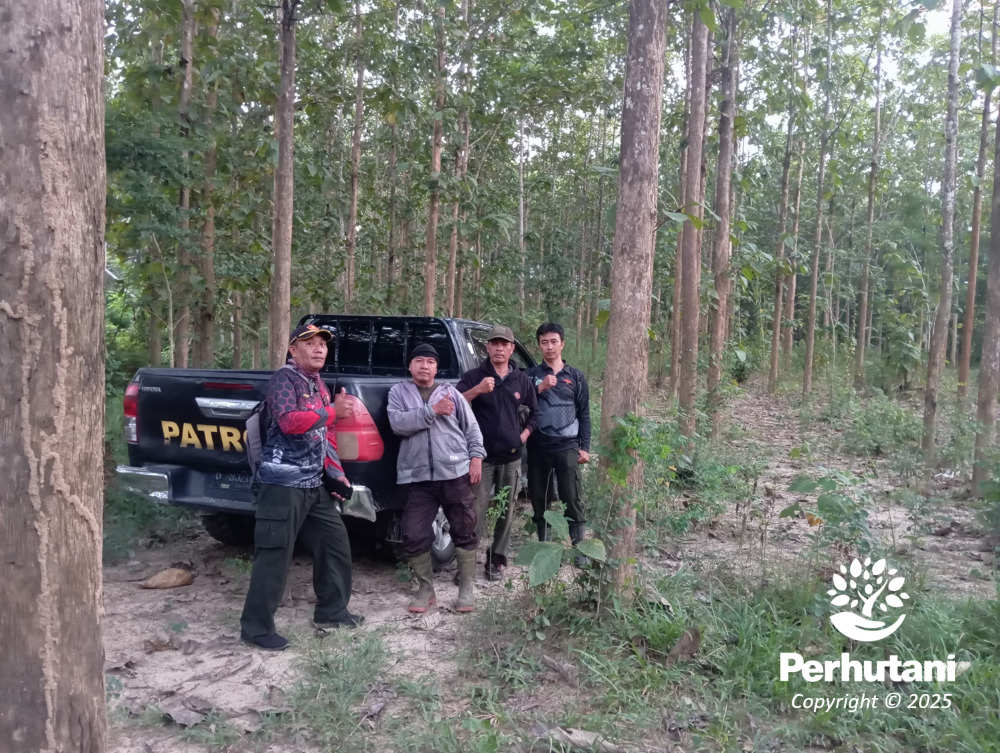 Perhutani Perhutani Mantingan Tingkatkan Keamanan Hutan di RPH Nglangitan di Hari Buruh ...