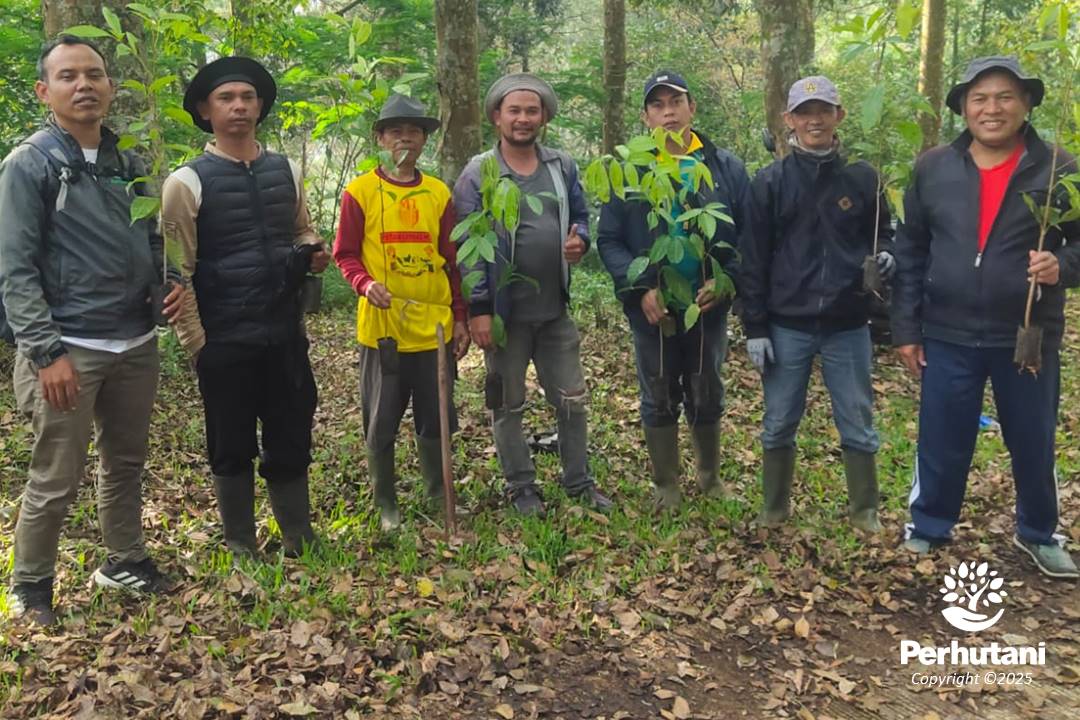 Perhutani Perhutani KPH Cianjur dan Stakeholder Lakukan Penanaman Bersama di Campaka