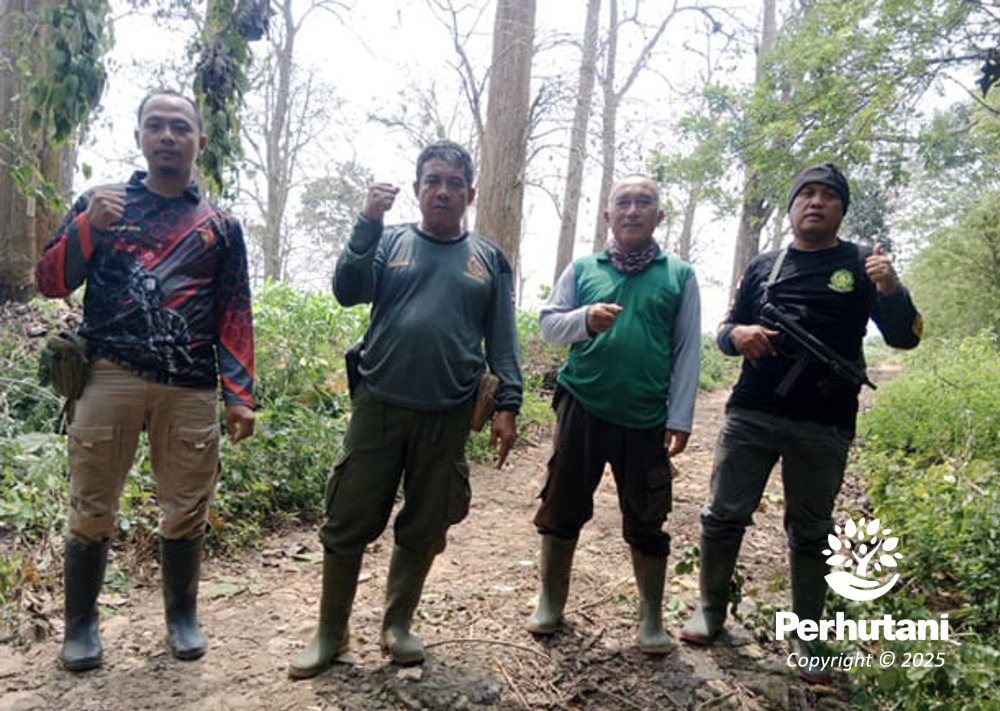 Perhutani Cegah Gukamhut, Perhutani Giatkan Patroli Hutan di Resort Pemangkuan Hutan Gaplokan