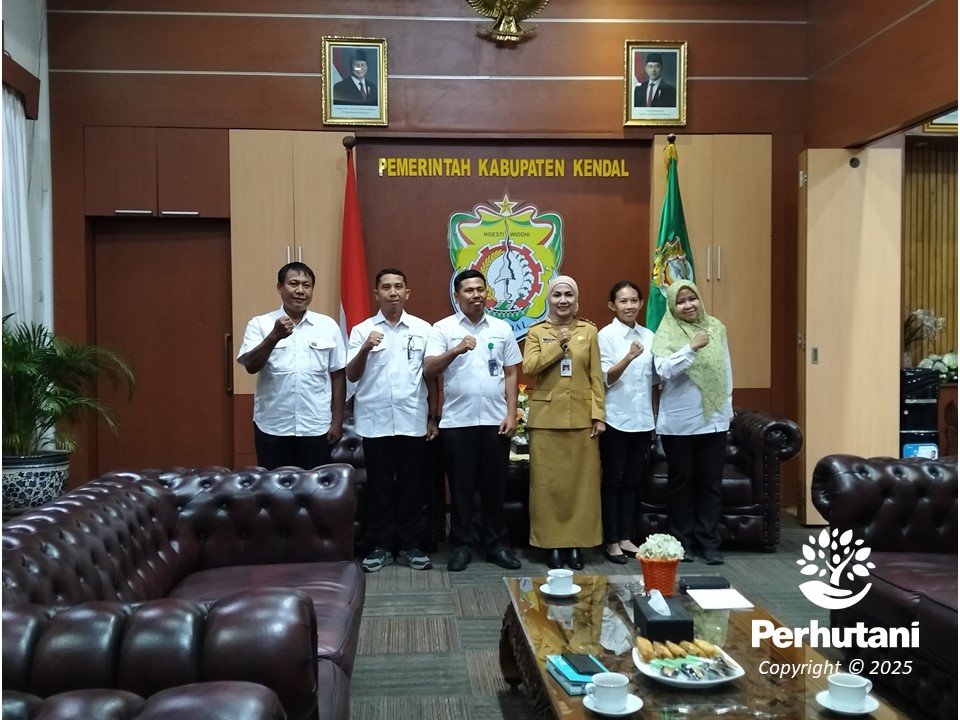 Perhutani Perkuat Sinergitas, Perhutani Lakukan Koordinasi dengan Pemda Kendal