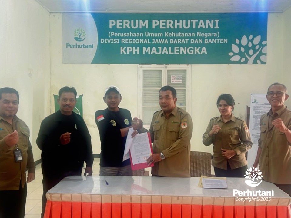 Perhutani Perhutani dan KTTR Teken Kerja Sama Budidaya Tebu di Kawasan Hutan Majalengka